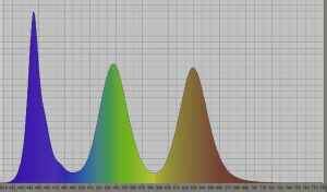QNED Vs QLED Vs OLED TVs Whats The Difference