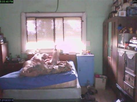 Ip Cam Softcore Porn XHamster
