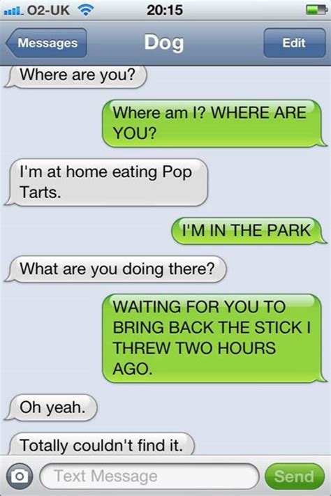 The 35 funniest text messages dogs would send, if they could text