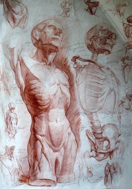 Nguyenhuuthuan Nguyenhuuthuan Profile Pinterest