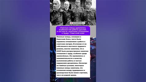 Пленные немцы удивлялись особенностям работы русских армия история интересныефакты вов Youtube