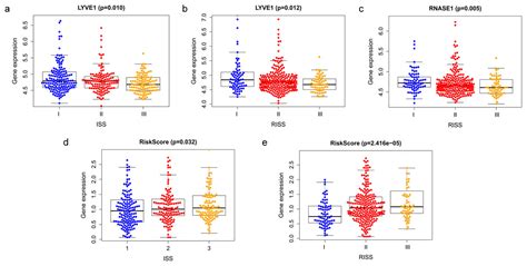 Identification Of A Three Gene Based Prognostic Model In Multiple