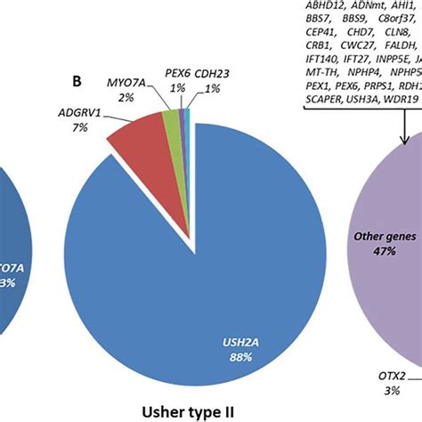 Classification Of Mutated Genes In The Genetically Solved Syndromic Ird