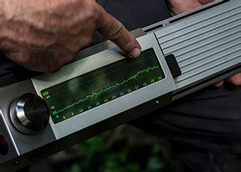 Understanding Tree Risk Assessments Ensuring Safety On Your Property