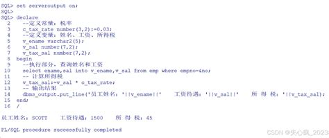 020pl Sql编程—变量plsql 变量 Csdn博客