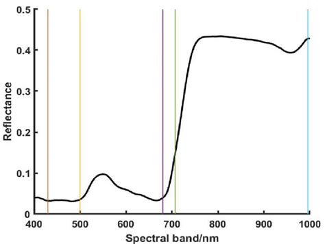 Rice Hyperspectral Reflectivity Segment Download Scientific Diagram