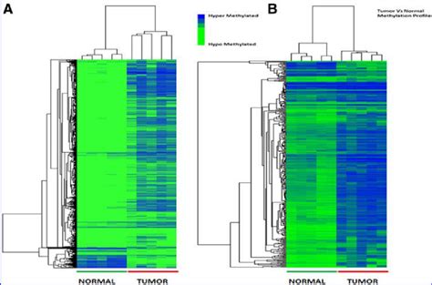 unsupervised hierarchical clustering of differentially methylated total