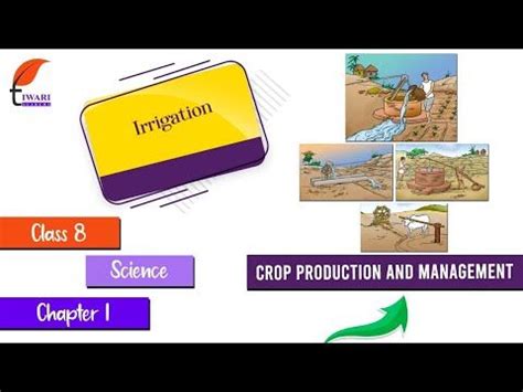 Ncert Solutions For Class Science Chapter Crop Production And Management Artofit