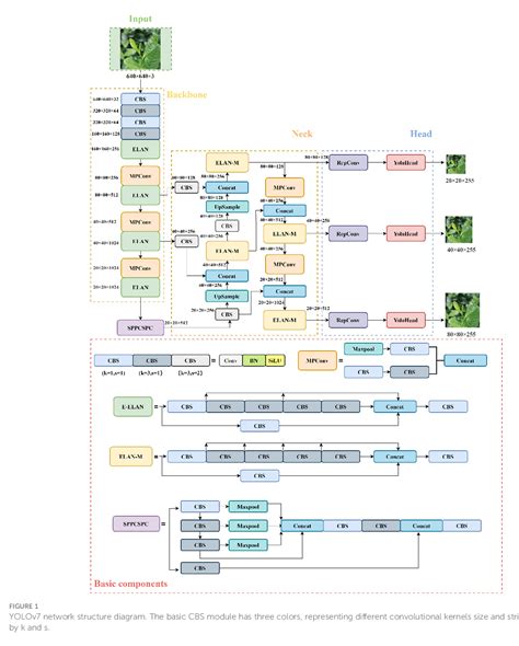 Figure 1 From Tbc Yolov7 A Refined Yolov7 Based Algorithm For Tea Bud Grading Detection