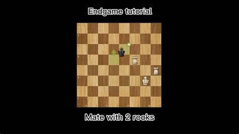 Endgame Tutorial Chess Tutorial Puzzle