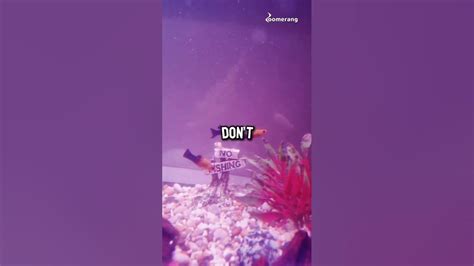 1 Januari 2025 Youtube