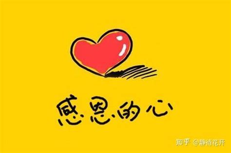 感恩生命中的苦难！ 知乎