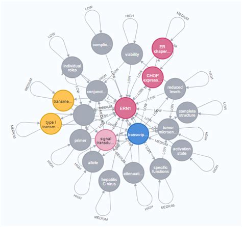 How To Replicate Connect Result Nodes With Cypher Neo4j Graph