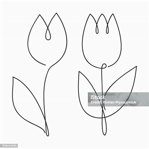 튤립 한 줄 도면 연속 라인 꽃 로고 엠블럼 및 디자인 카드 포스터를 위한 손으로 그린 일러스트레이션 개념에 대한 스톡 벡터 아트 및 기타 이미지 Istock