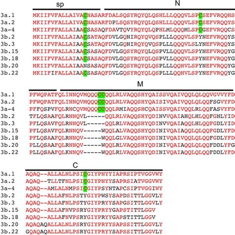 A Schematic Diagram Of Different Trafficking Routes Of Endoplasmic