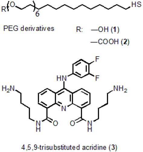 Molecular Structures Of The Polyethyleneglycol Peg Derivatives And Download Scientific