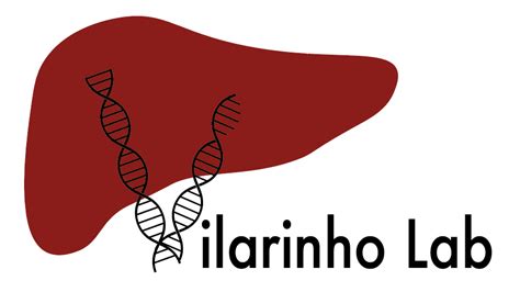 Vilarinho Lab