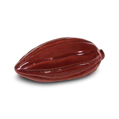 The Cocoa Pod Emma Janes