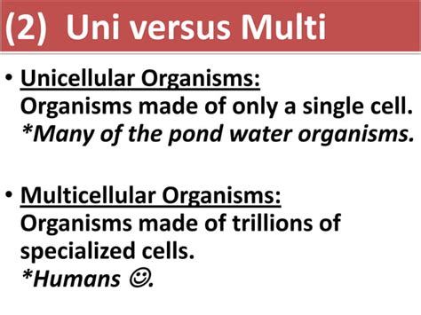 Biology Unit 2 Cells Types Of Cells Notes PPTX Biological Sciences Science