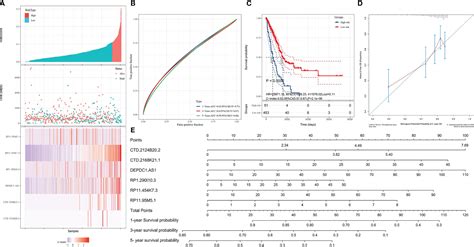 Frontiers Identification And Validation Of A Novel Six Lncrna Based Prognostic Model For Lung