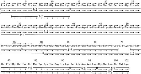 Amino Acid Sequence Of Dryopteris Plastocyanin K And B Refer To The