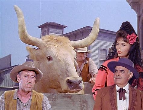 Ponderosa Matador 1964