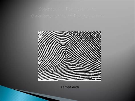 Chapter 6 Fingerprints Power Point PPT