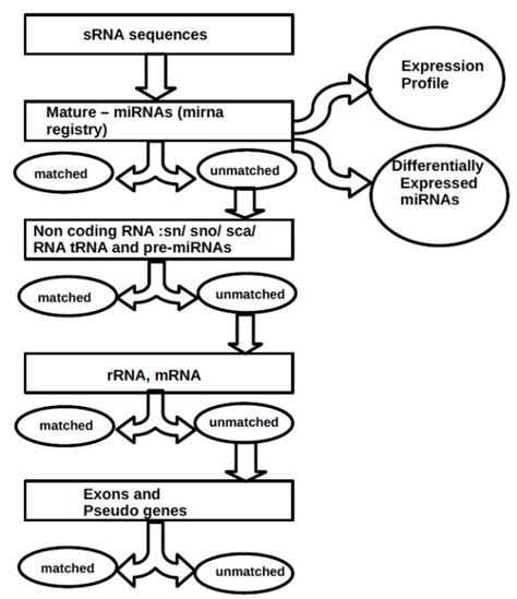Flowchart Describing The Elimination Pipeline Used To Filter Out The Download Scientific