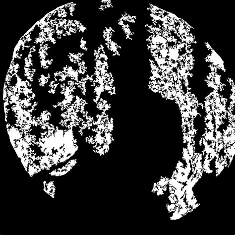 visualize binary image image analysis image sc forum