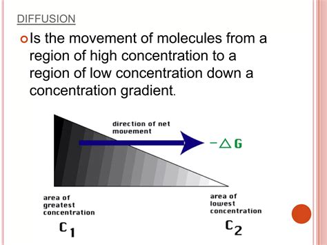 Diffusion Osmosis Active Transport PPTX