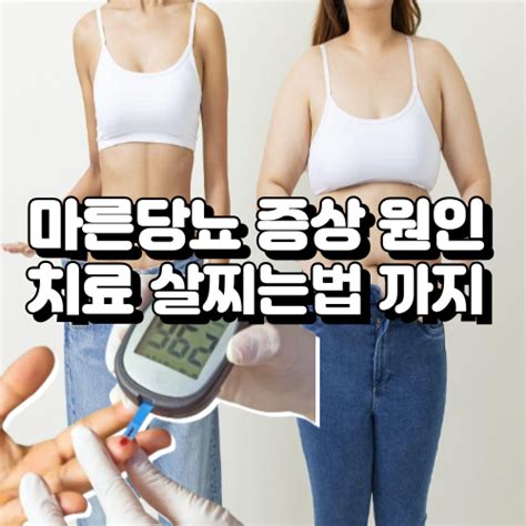 마른당뇨 증상 원인 치료 살찌는법 1분요약 Hohos블로그