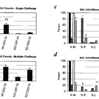 BAL Total And Differential Cell Counts From Singly And Multiply Download Scientific Diagram