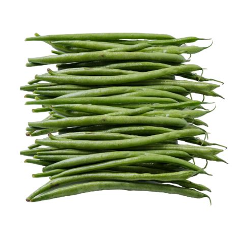 Beans Flat Franch Myerindia