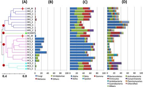 Analysis Of Pyrosequencing Data For 16s18s Rrna Amplicon Libraries Download Scientific Diagram
