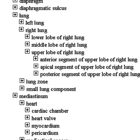 Mean Number Of Modifier Anatomic Location Relationship Finding Download Scientific