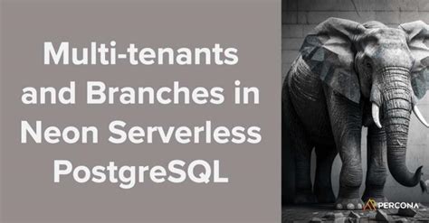 Oksana Matsak On Linkedin Multi Tenants And Branches In Neon Serverless Postgresql
