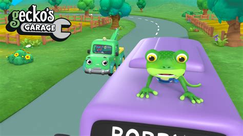 Emergency Rescue Gecko On Top Of Bobby The Bus Help Gecko Is Stuck On Top Of Bobby The Bus