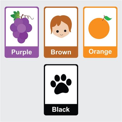 아름다운 색상 플래시 카드 어린이 학습 카드 프리미엄 벡터