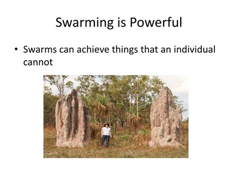 Ppt Swarm Algorithms Powerpoint Presentation Free Download Id318914