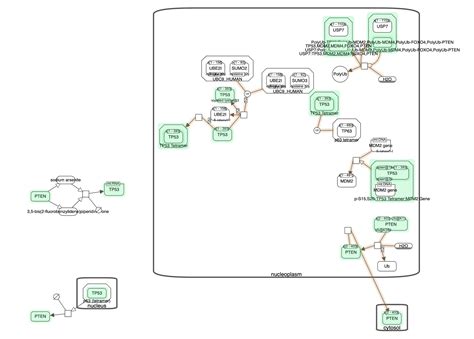 My Contributions To The Newt Project Umut Utku Ersahince