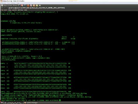mcb 5472 assignment 4 introduction to command line