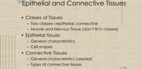 Can You Identify Types Of Tissues Quiz Attempts Trivia Questions