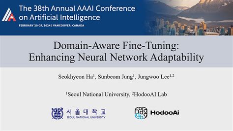 Underline Domain Aware Fine Tuning Enhancing Neural Network Adaptability Video