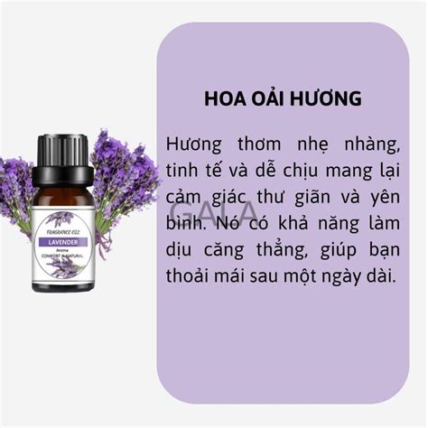 Tinh D U Th M Thi N Nhi N Ml Tinh D U Th M Ph Ng Tinh D U N C Hoa Que G T Khu Ch T N Thanh