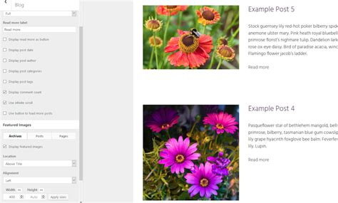 Flexible Customisable Wordpress Themes Jane B Website Help