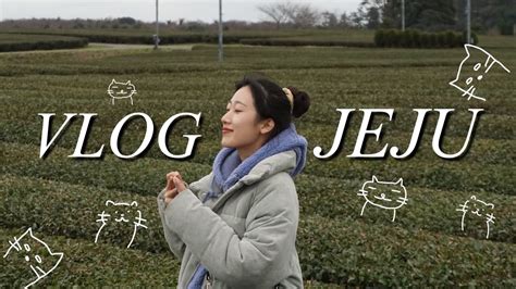 숨로그 제주 Vlog 동쪽갔다가 서쪽가는 2박3일 비 고양이랑 강아지 가득한 제주 여행🐈 소품샵 추천 981파크
