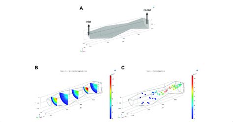 A Basic Schematic Of The Converging Diverging Tube Generated Using Download Scientific