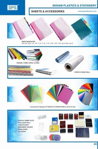Plastic File Folder At Rs 49 Piece Plastic File Folder In Vadodara ID 2852257654212