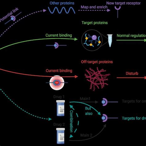 Drug And Target Interactions Drugs May Bind With Off Target Proteins Download Scientific