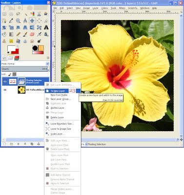 Clown Fish Cafe GIMP 2 8 Tutorial Which Tool Should I Use To Cut Out An Irregular Image